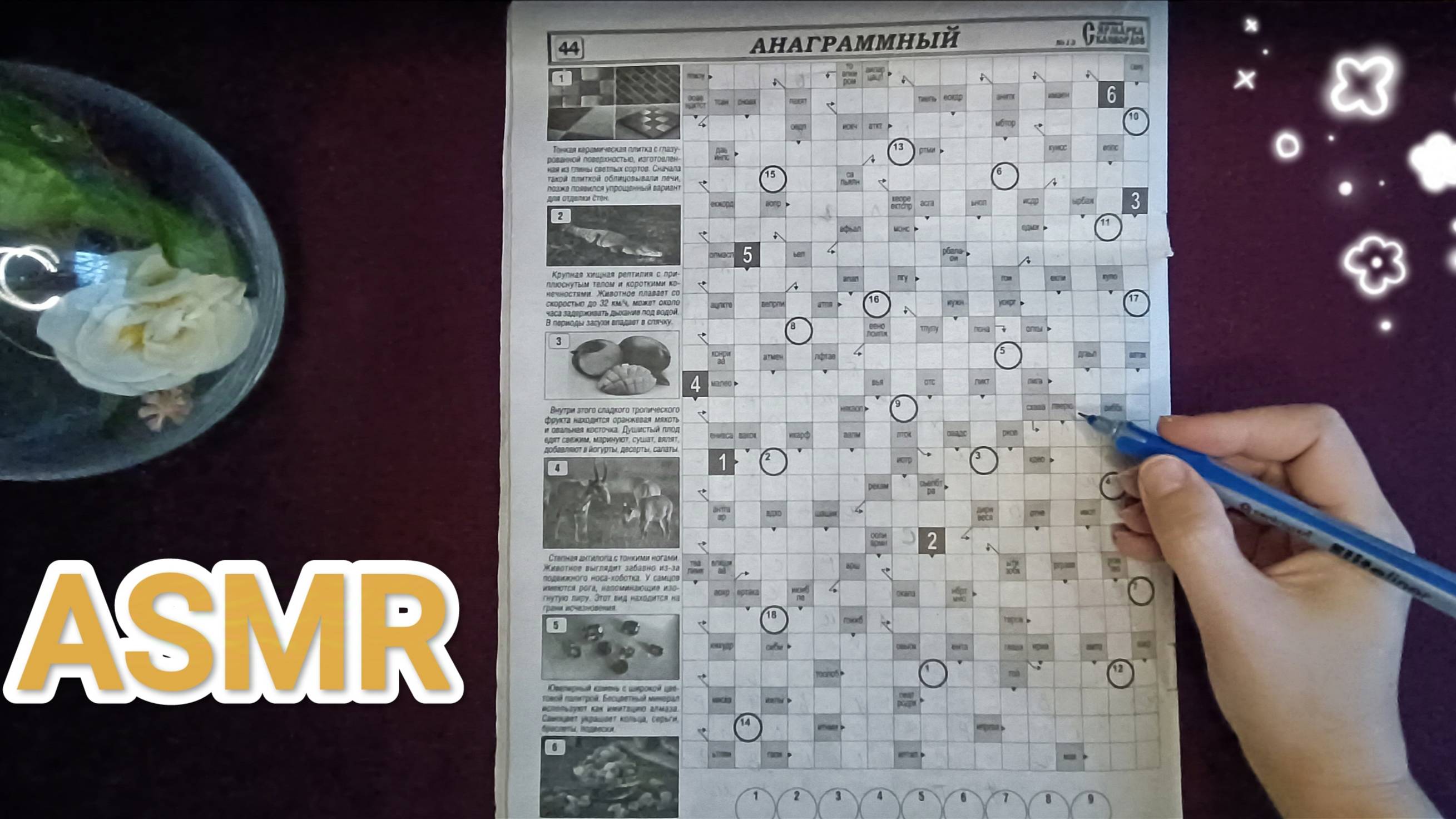 АСМР ✨ СКАНВОРД / ASMR 💤 crossword puzzle / шёпот / whisper