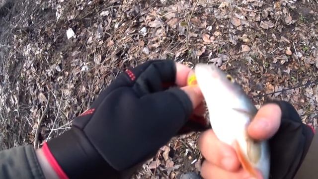 Поиск ОКУНЯ НА РЕКЕ ранней весной НА СПИННИНГ. Браконьеры средь бела дня СТАВЯТ СЕТИ.