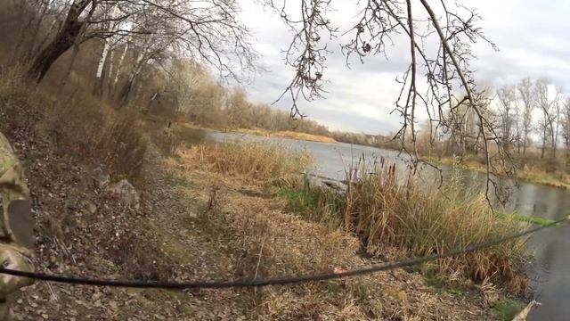 Трёхдневный МАРАФОН ЗА ОКУНЕМ. Северский Донец. Рыбалка в ноябре на спиннинг.