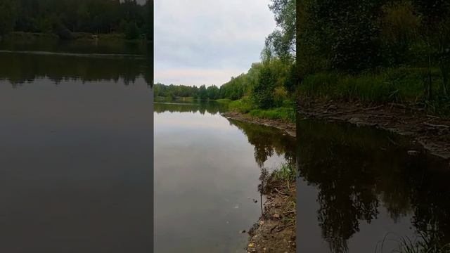 Окунь проснулся #рыбалка #рыбак #спиннинг