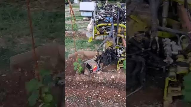 Фреза с дисками межкустовая CALDERONI UNICA