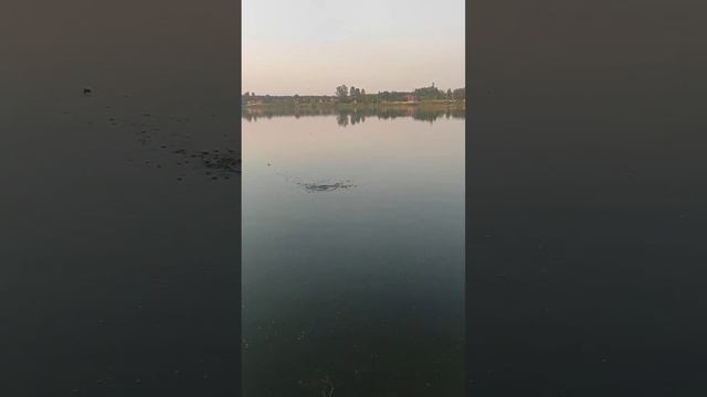 Блинчики по воде #рыбак #рыбалка #нарыбалке