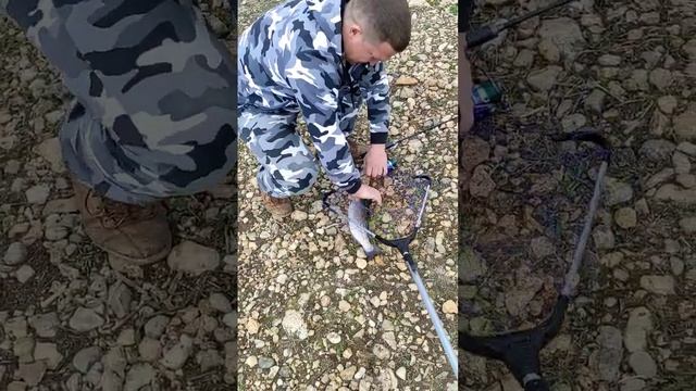 Вываживание форели. #форель #рыбалка #нарыбалке