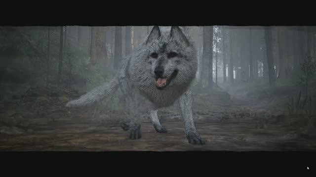 Прохождение. СМУТА. Часть 3. Загрызли волки
Процессор xeon 2690 v2
Видеокарта RX 580 2048
32 Гб