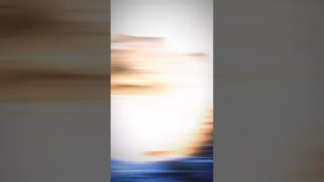 #эдиты #реал #лайф #кот