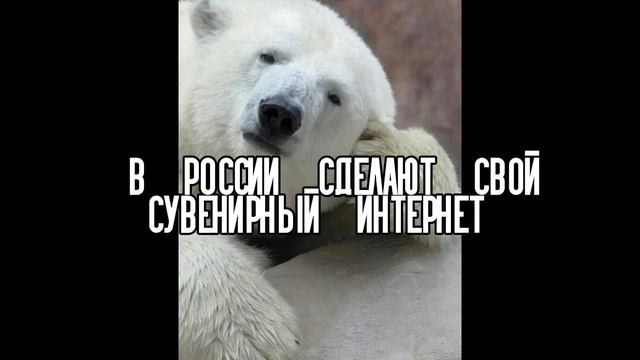 В России сделают свой сувенирный интернет
