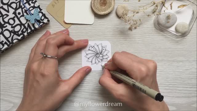 CARACOLE by Lily Moon