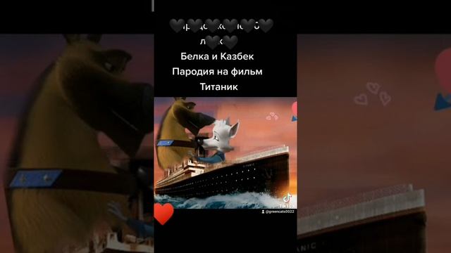 Белка и Казбек Титаник .