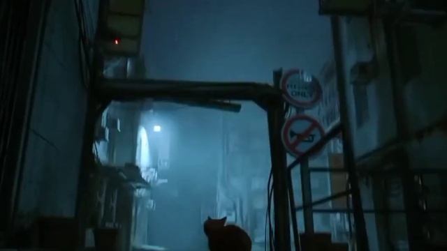 Stray # ОЧЕНЬ МИЛАЯ ИГРА