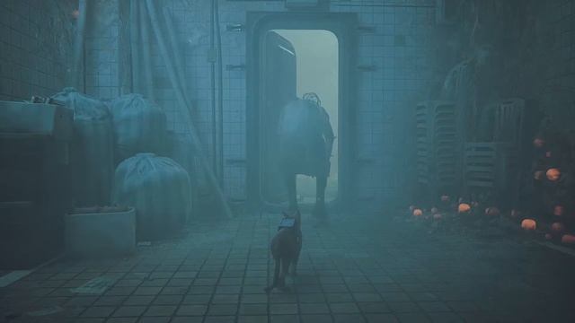 МЯУ, МЯУ, ПРЫГ, КУСЬ Stray Стрим