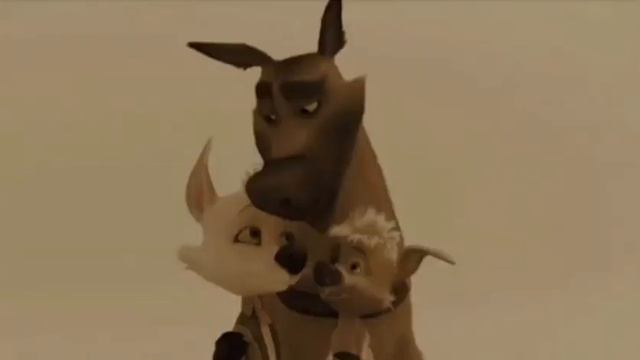 Белка и Казбек; открой глаза