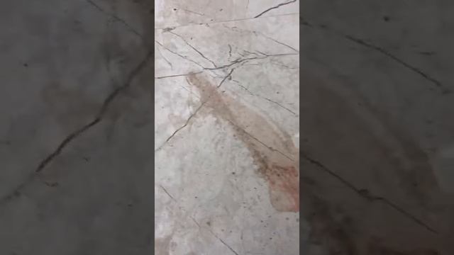 Удалить краску с поверхностей Рапид 07 s