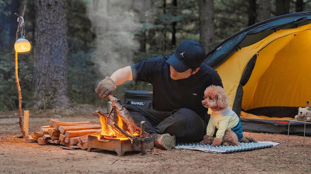 Одиночный кемпинг в лесу с моей собакой . Жареная баранья нога в дикой природе . Дровяная печь ASMR
