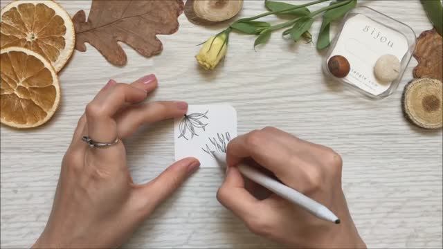 ASCLEP by Cheryl Lees Haley