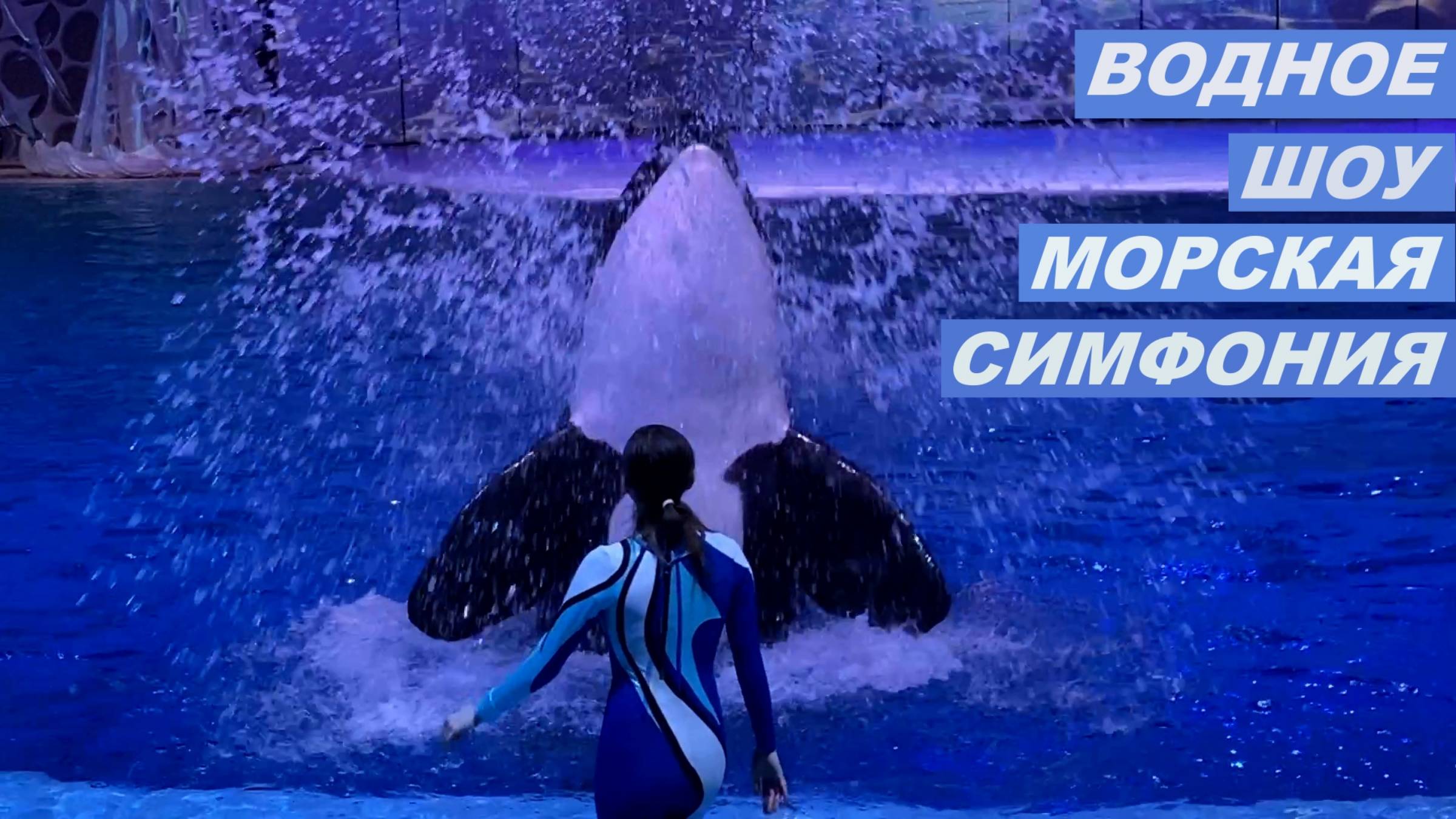 МОСКВАРИУМ КОСАТКА НАЯ .Водное шоу *Морская симфония*.Вивальди.Времена года. Океанариум