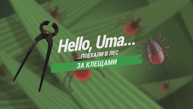 В лес за клещами