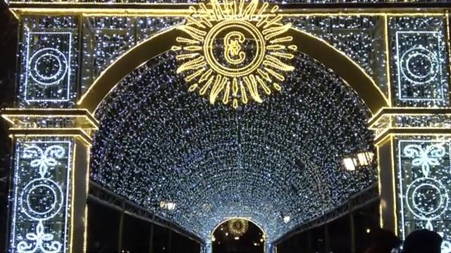 Зимой в Царицыно. Стихи, муз., исп.- Александр ГамИ. Аранж.- Олег Князев. Монтаж - Любовь Чернышова