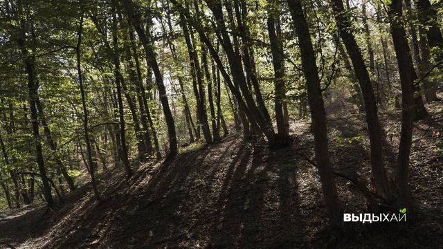 Аффирмации на избавление от тревоги