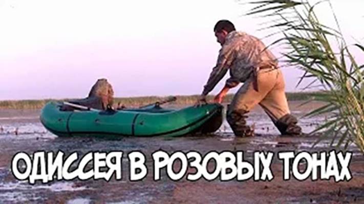 Записки Сибирского Натуралиста 4 сезон, 8 серия. Одиссея в розовых тонах.