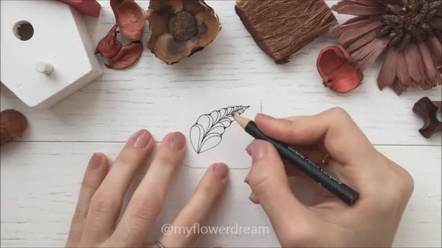 Lupin by Alena Light