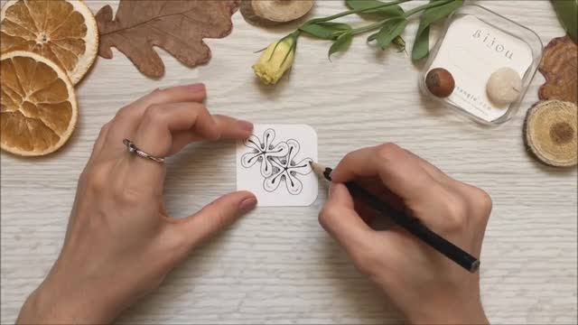 VIOLETKA by Lila Holter