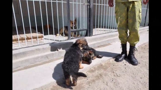 Командировка в Хорог на сбор 2012 г