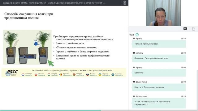 Флористика Уход за балконными растениями