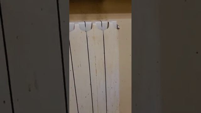 Дафор антижир поможет удалить застарелый жир на поверхностях