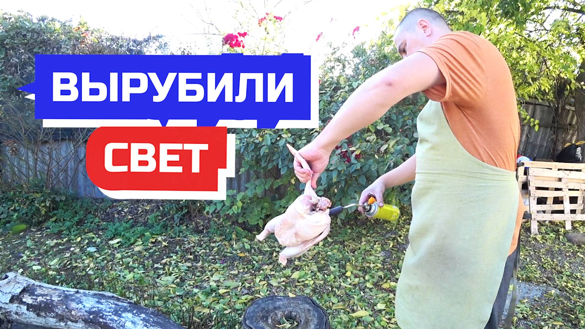 799 серия 2 ноя. На весь вечер электричество отключили. Было тревожно, конечно.