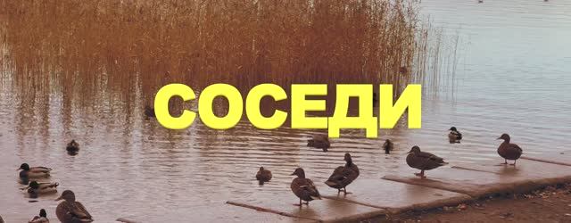 Соседи. Серия 11. Пушкин