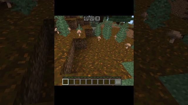 у меня появились пятна 😯