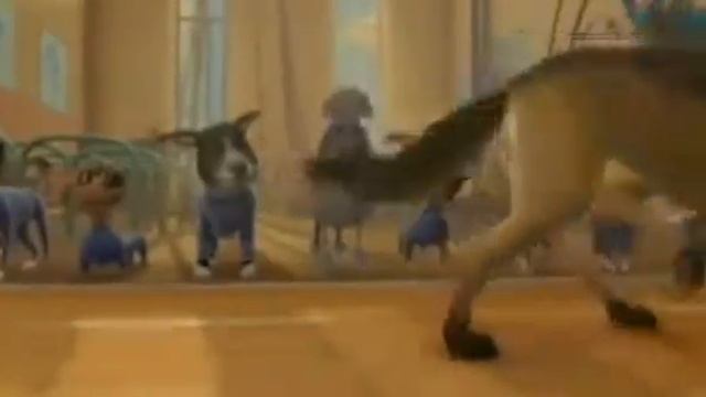 Белка и Казбек ♥️ Самый грустный роман.