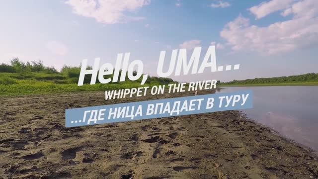 Умка на реке Ница