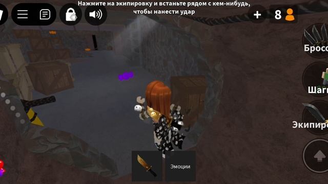 знакомство вместе с коричневой акулой 🦈