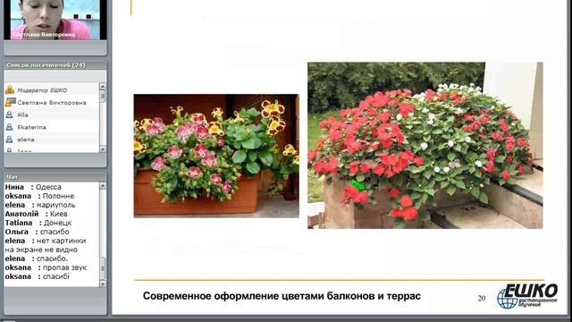 Современное оформление цветами балконов и террас