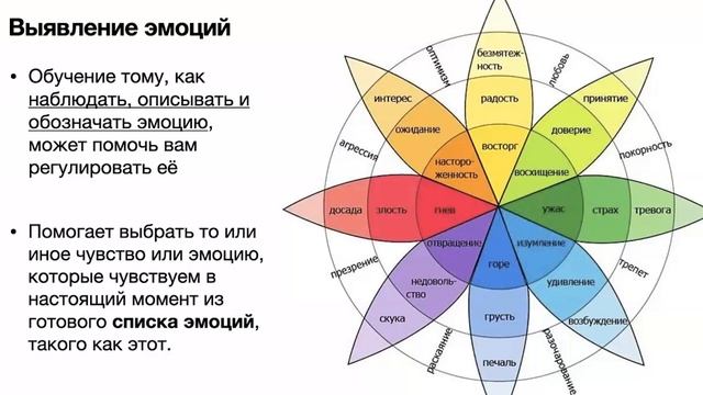 Эмоциональная эффективность (осознанность)_занятие 5