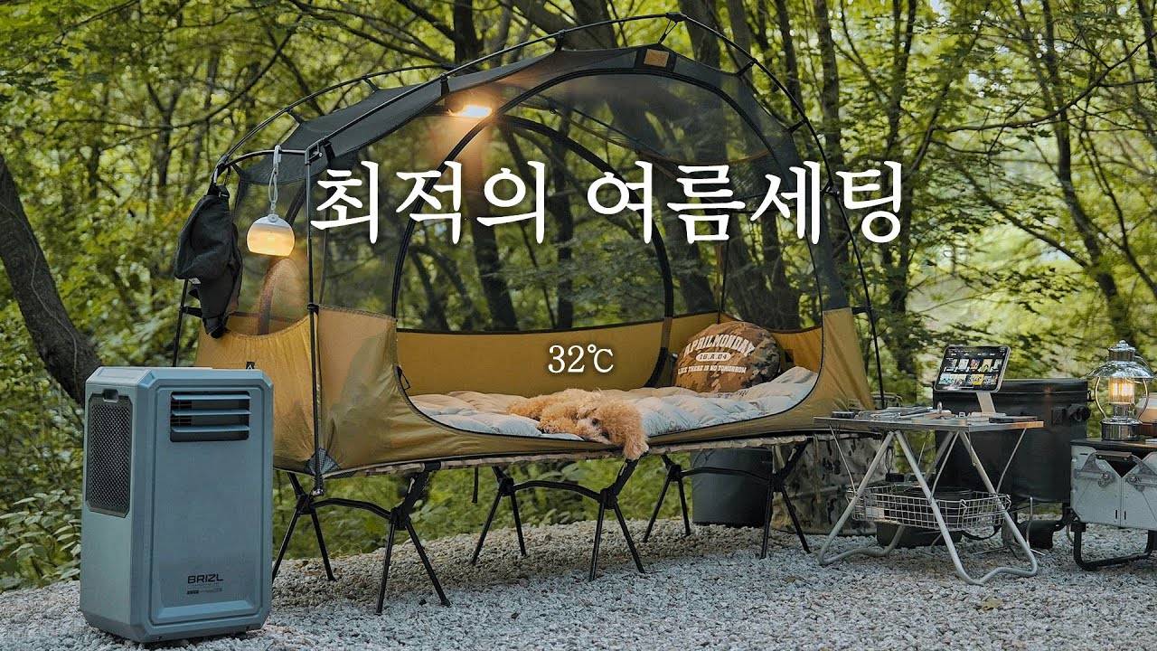 32℃ Одиночный кемпинг жарким летом . Уютный отдых с собакой . Лесные птицы ASMR