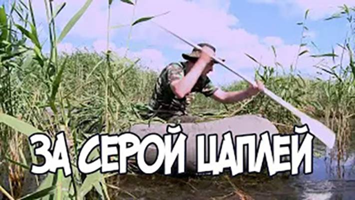 Записки Сибирского Натуралиста 4 сезон, 7 серия. За серой цаплей.