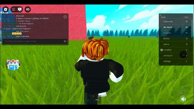 robloxapp-20241104-1721036