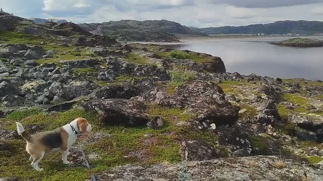 Мое место счастья на краю земли!