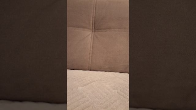 Медведь притворяться, что эти два ролика его. Я извиняюсь.#извинение.