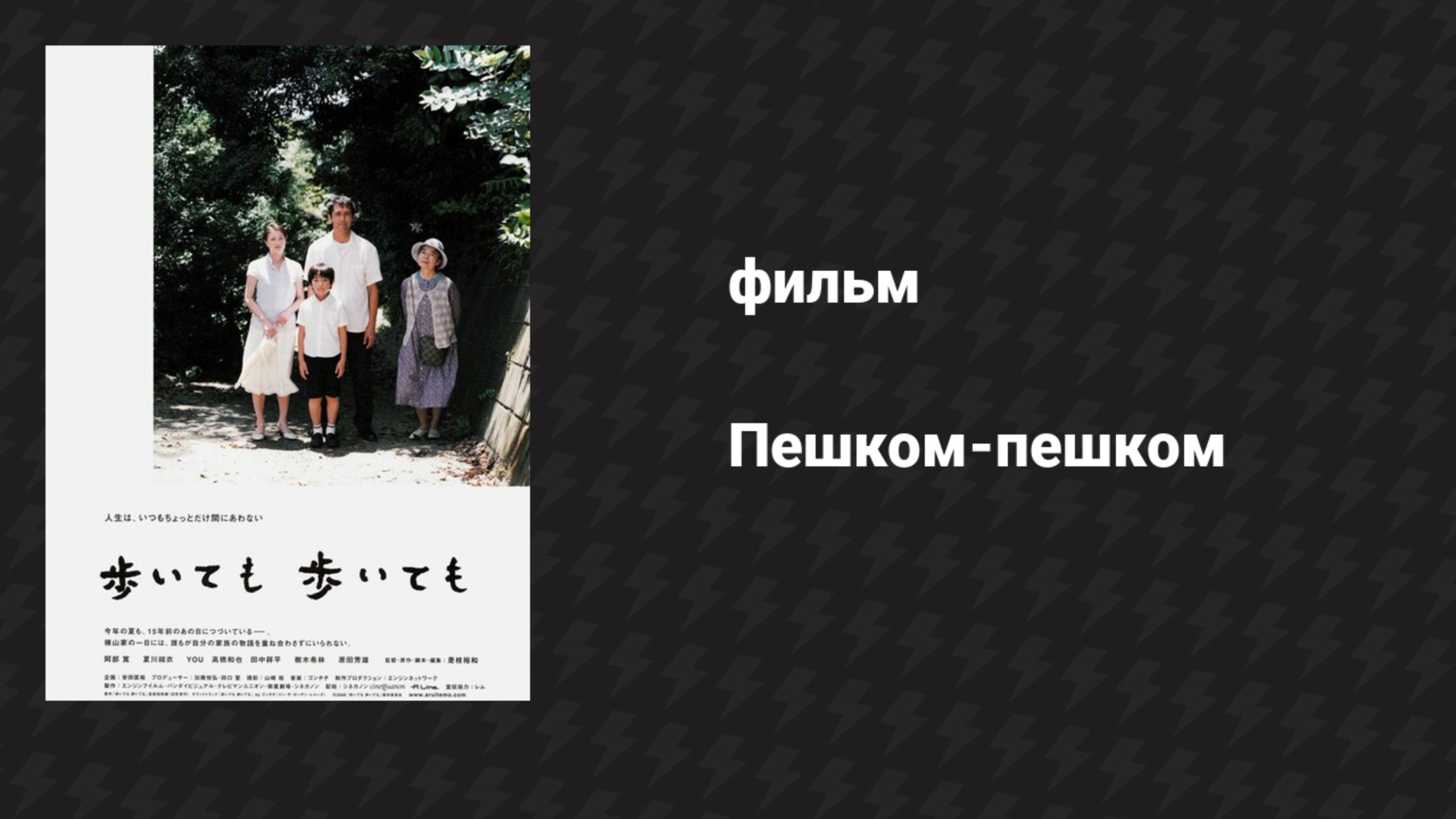 Пешком-пешком (фильм, 2008)