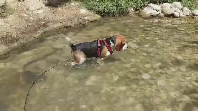 Я увлекаюся спортивною рыбалкой