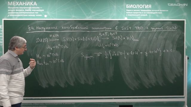 Степаньянц К.В. - Суперсимметрия в ФЭЧ - 15. Мягкие слагаемые в суперсимметричной SU(5) теории