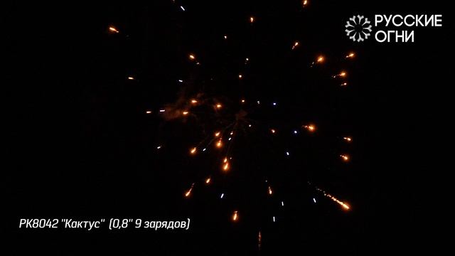 РК8042 ''Кактус''  (0,8'' 9 зарядов)