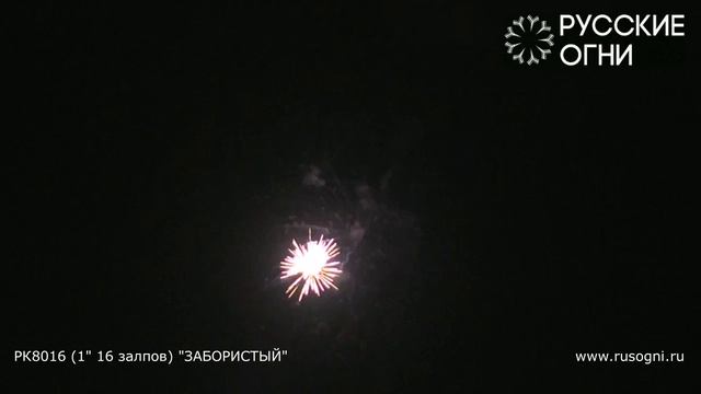 PK8016 ЗАБОРистый(1x16)