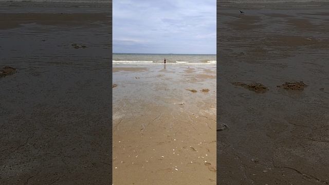 Паттайя, Таиланд. Лето 2024г.