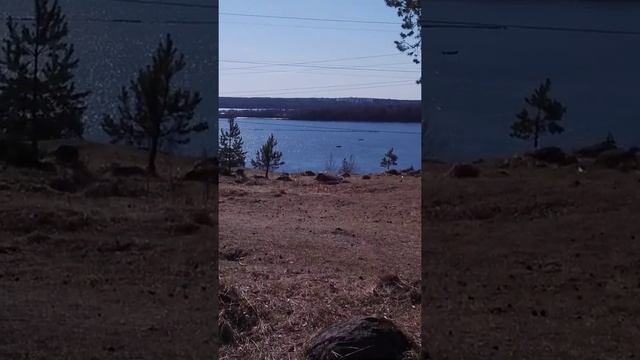 21 апреля 2021 г.