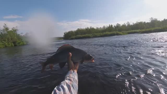 Рыбалка и путешествия