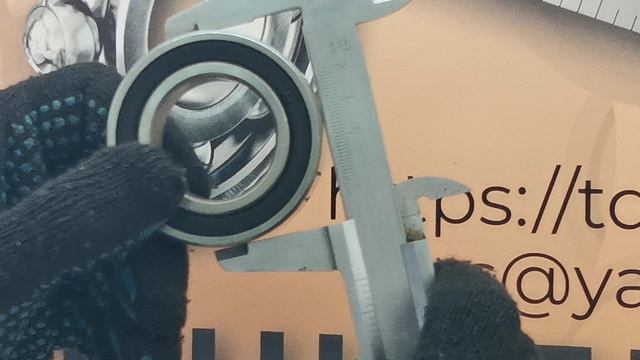 63007 2RS CX -TDPS66.RU